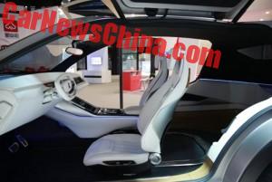 Hozon Auto Is Another New EV Brand From China