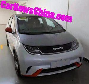 BYD Dolphin Unveiled On A Game Show In China, And You Can Have It In ...