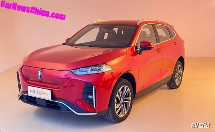 The Ora Cherry Cat is an EV WEY SUV