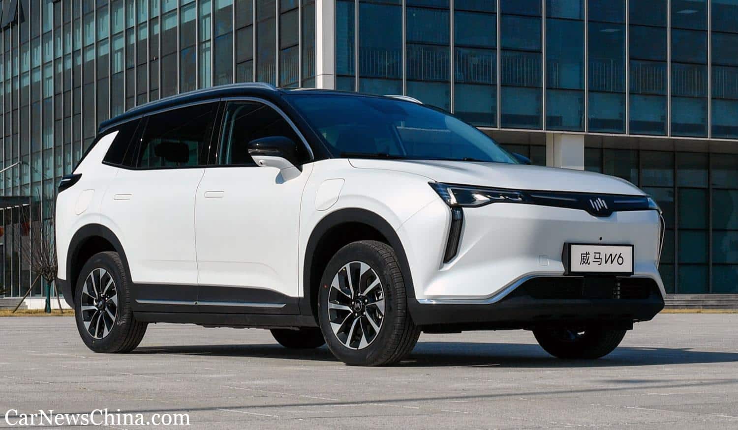 The Big Read: Story of Weltmeister