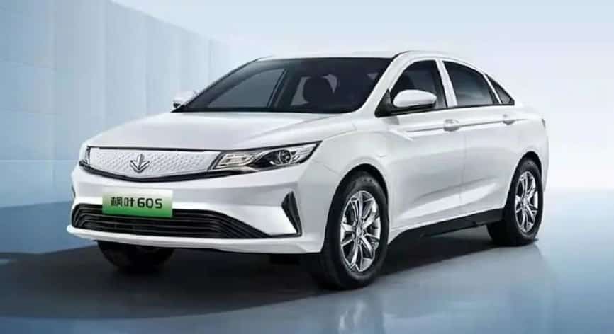 Maple Leaf 60S To Launch in February - With Battery Swap in 60 seconds