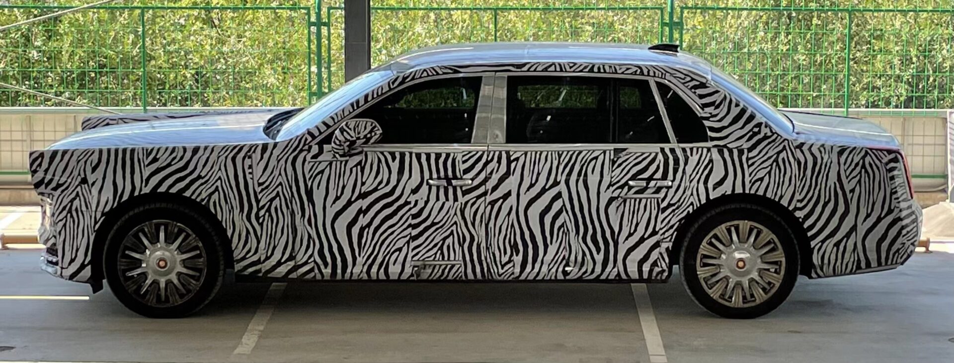 What Is Hongqi Cooking Up Here?