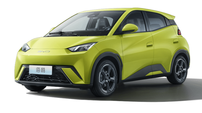 BYD Seagull sells 14,300 units in the first month after delivery