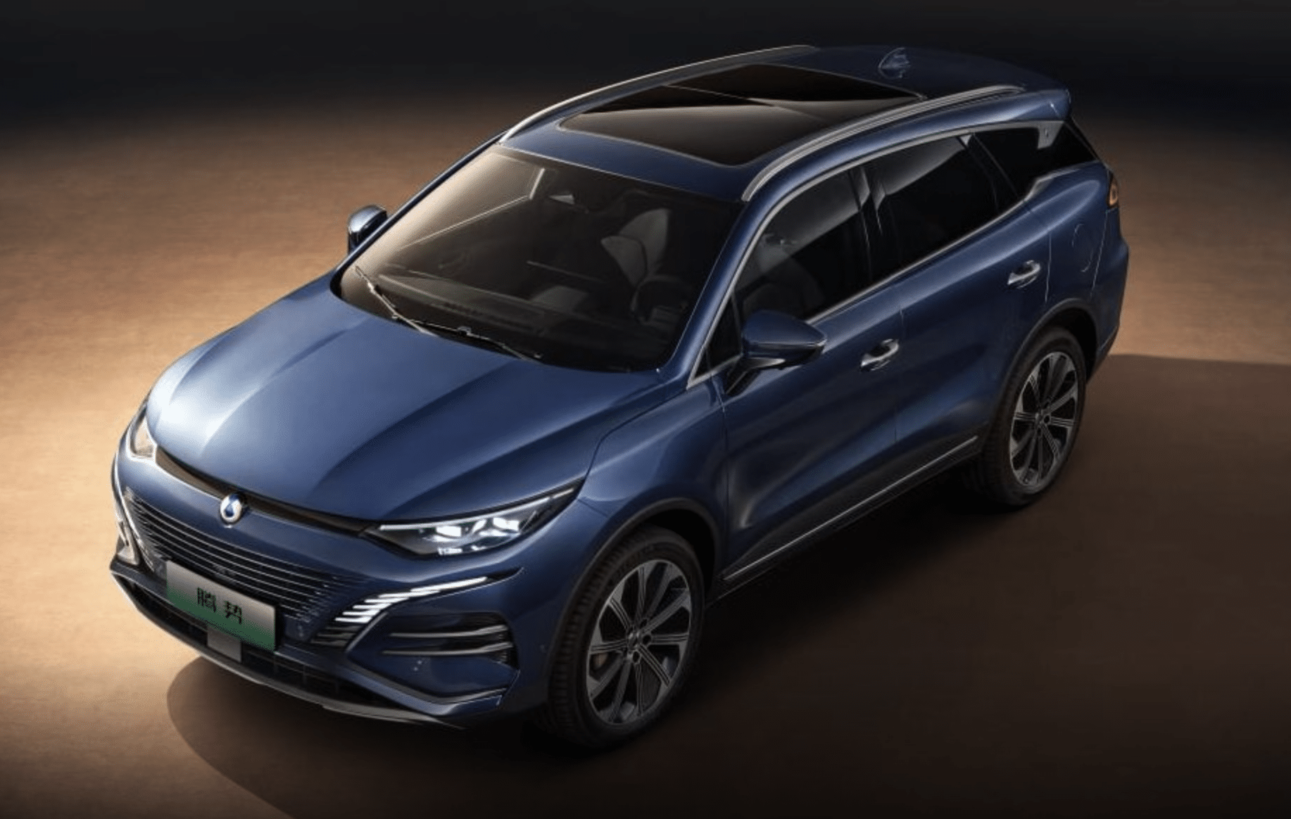 China EV Daily (July 30): French Minister's visit to BYD, Denza D9 and ...