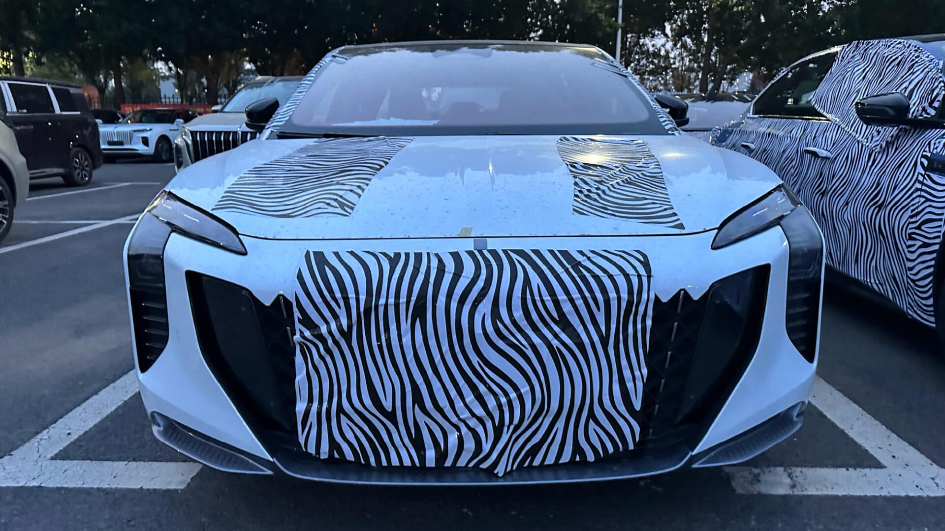 Production version Hongqi E001 spied in China. 619 hp and swappable battery