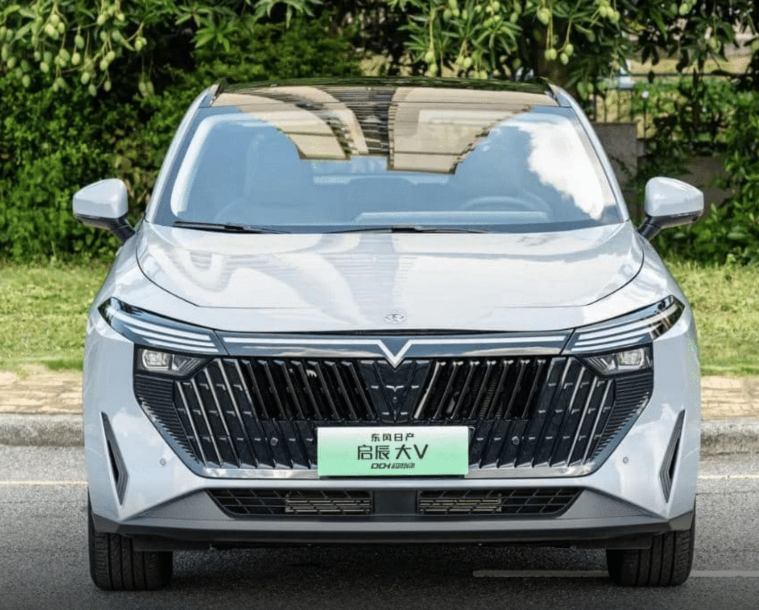 Dongfeng-Nissan Venucia first compact EV SUV pictures released