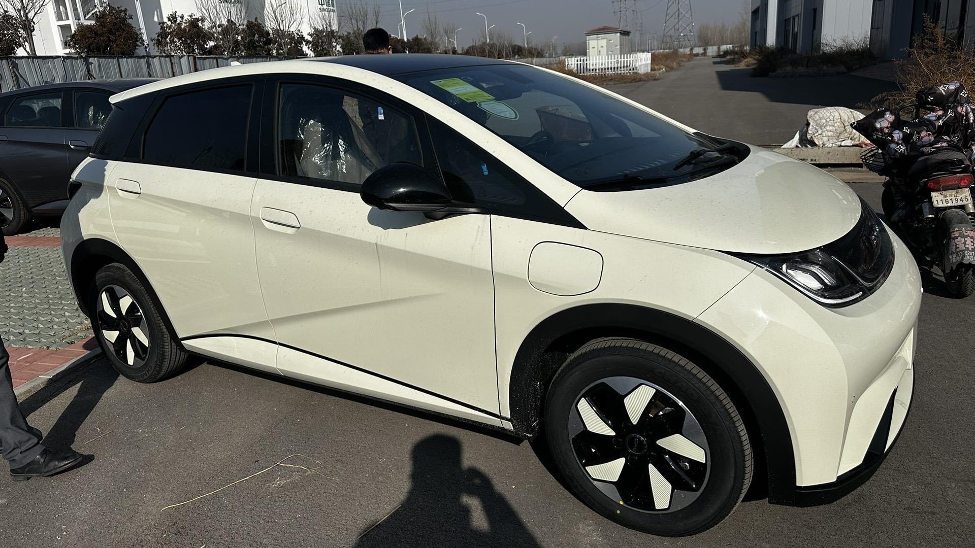BYD Dolphin Champion Edition will enter China in February