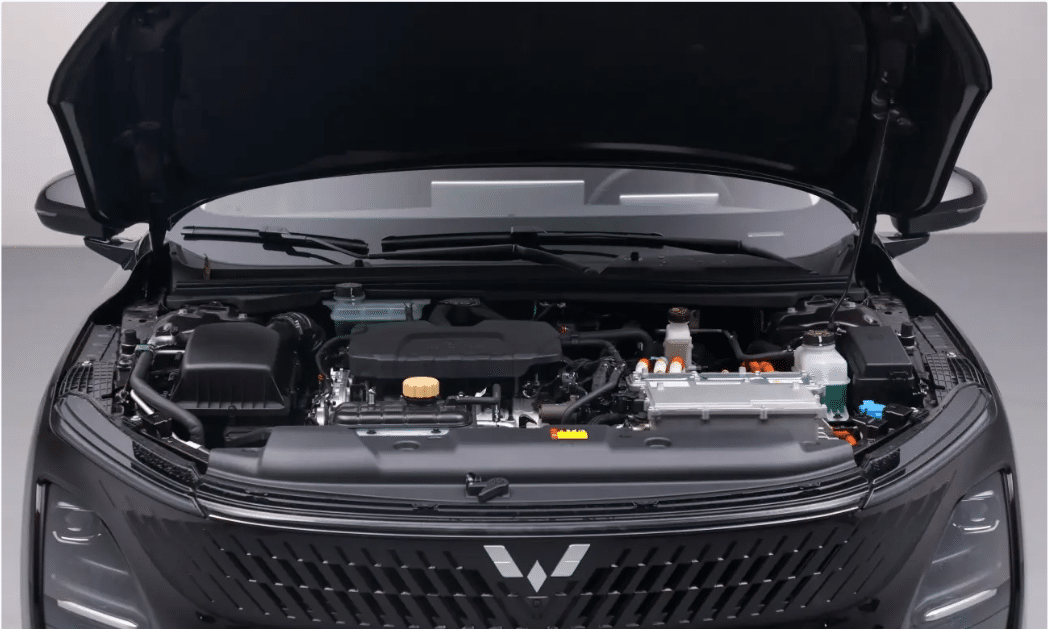 Wuling Starlight sold 18,294 units one month after launch in China