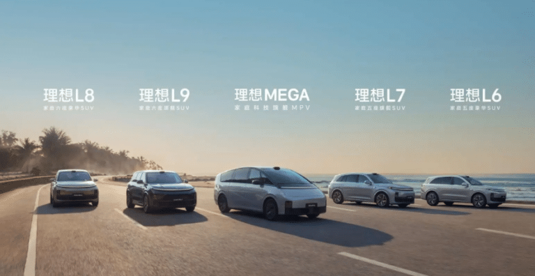2024 emerging Chinese NEV makers sales ranking, Li Auto was first