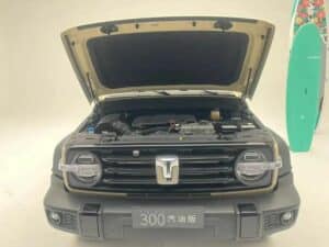 2025 Tank 300 in gasoline, diesel, and PHEV variants opened for ...