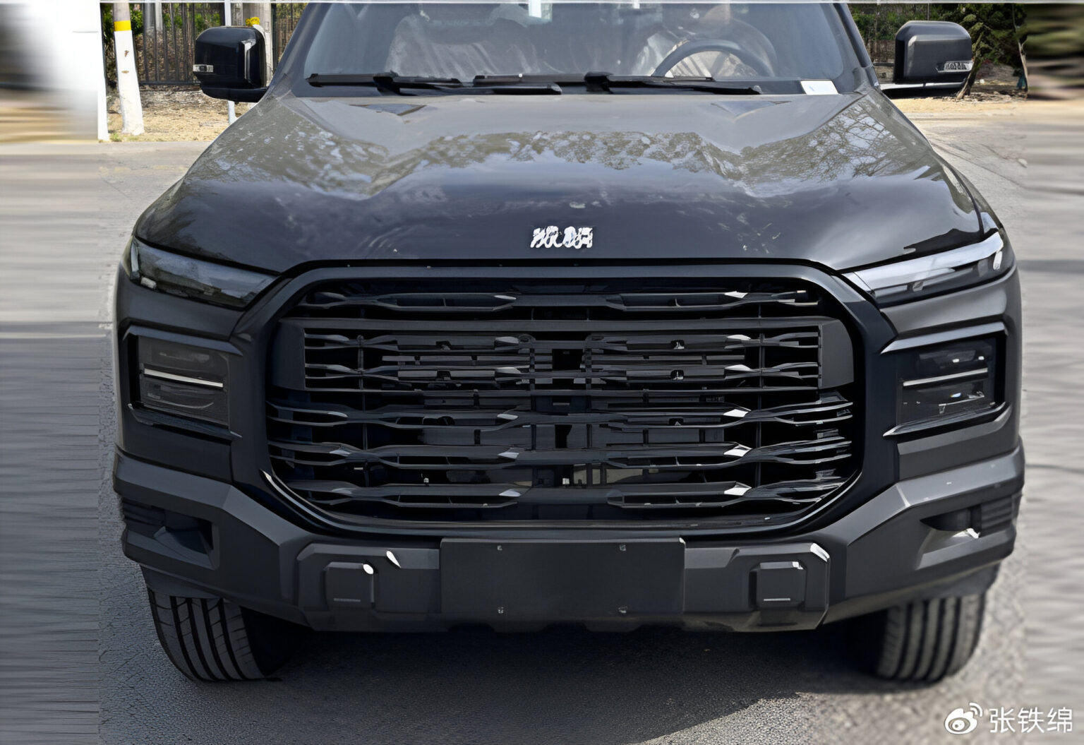 Chery revives Rely brand with Kaitian R08 diesel pickup, targets domestic market reentry