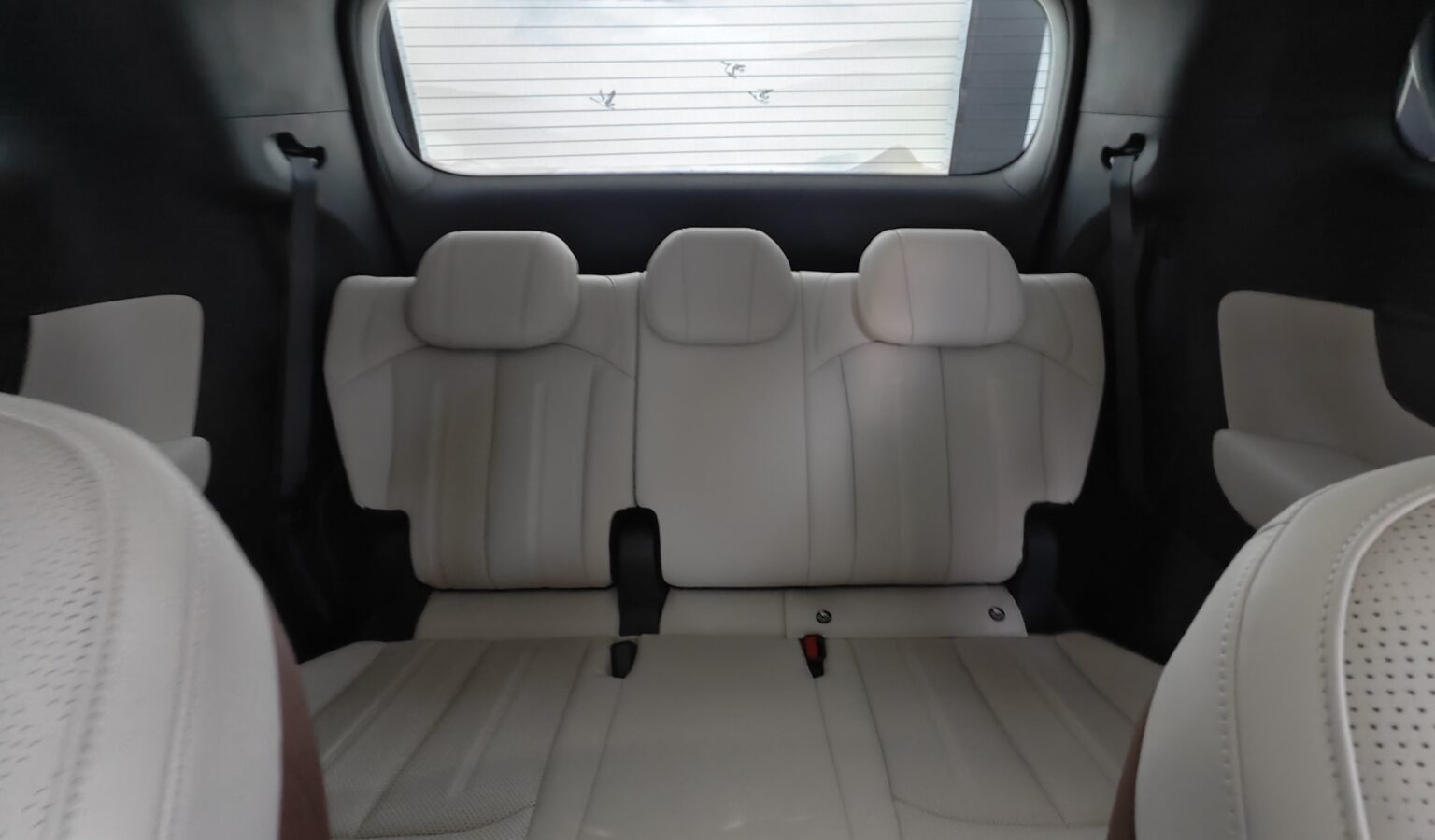 Sunday China Drive | BYD Xia (M9): family-focused MPV tested before its ...